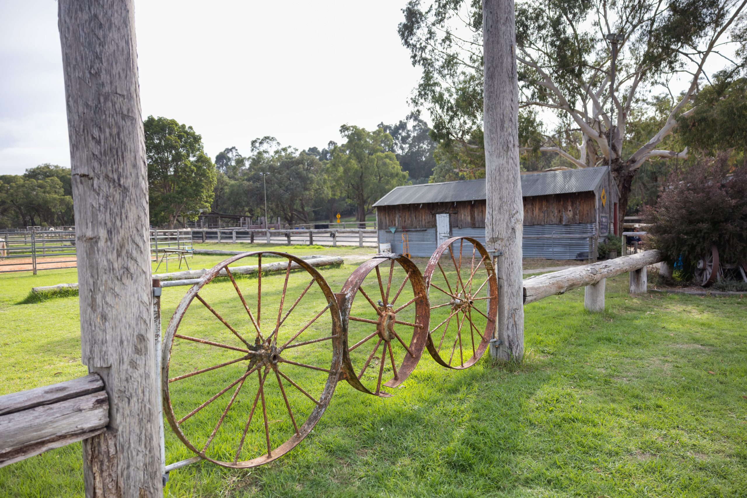 Cranbourne West Primary Visits Mill Valley Ranch Camp | Wolfdene